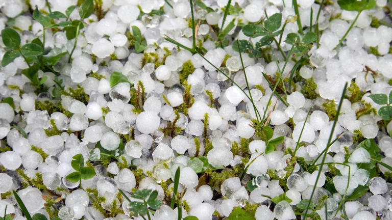 Cinco distritos sob aviso devido a trovoada, chuva e granizo
