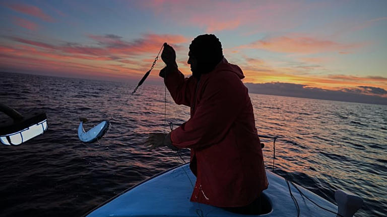 'I'll have to buy new nets': Killer pufferfish are devastating Crete's ...
