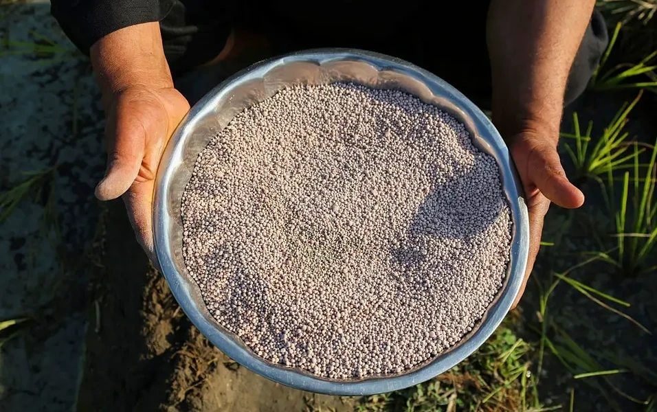 Smarter fertilizer tips for thriving gardens