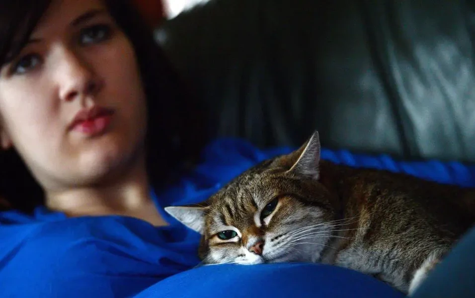 Study finds cuddling cats under stress can worsen mood