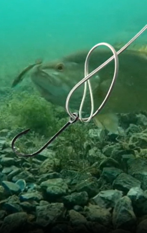 Why these carp fishing skills are next level