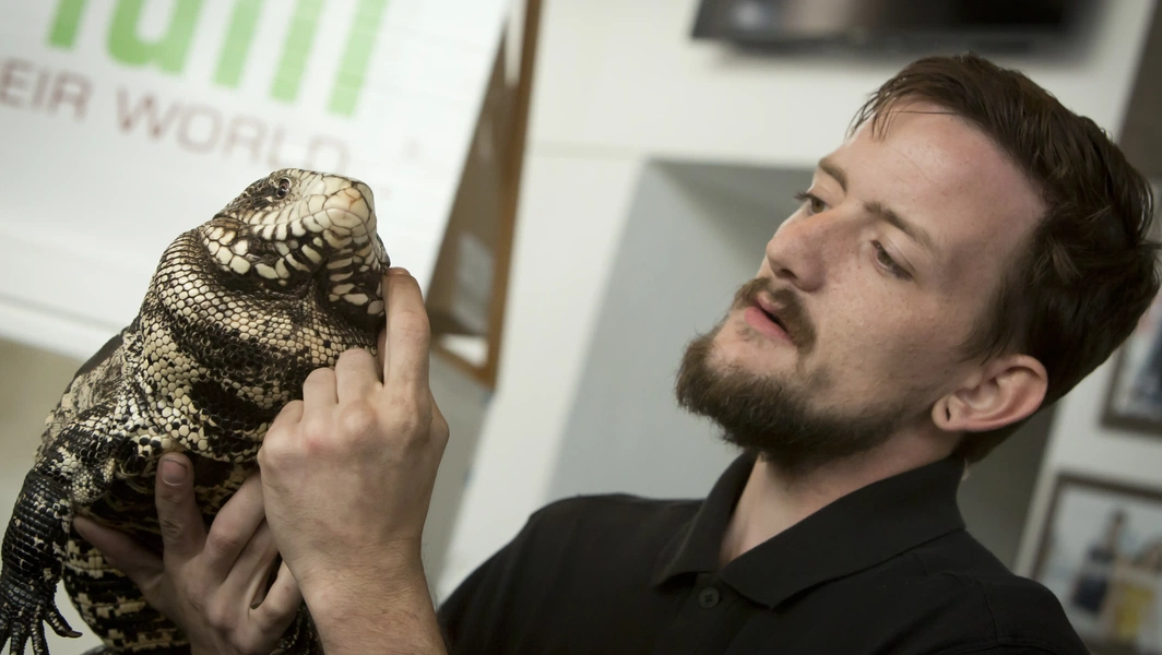 Invasive Argentine tegus threaten Georgia's wildlife