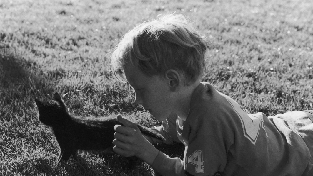 7 vintage cat moments through history
