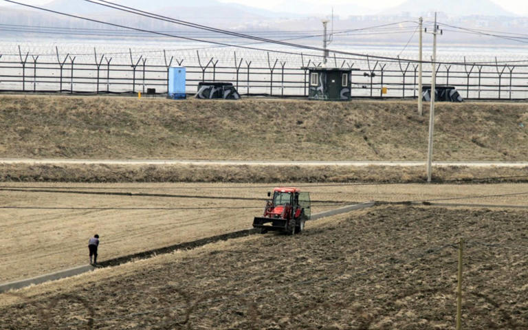 North Korea’s push for dry-field rice reflects drought concerns