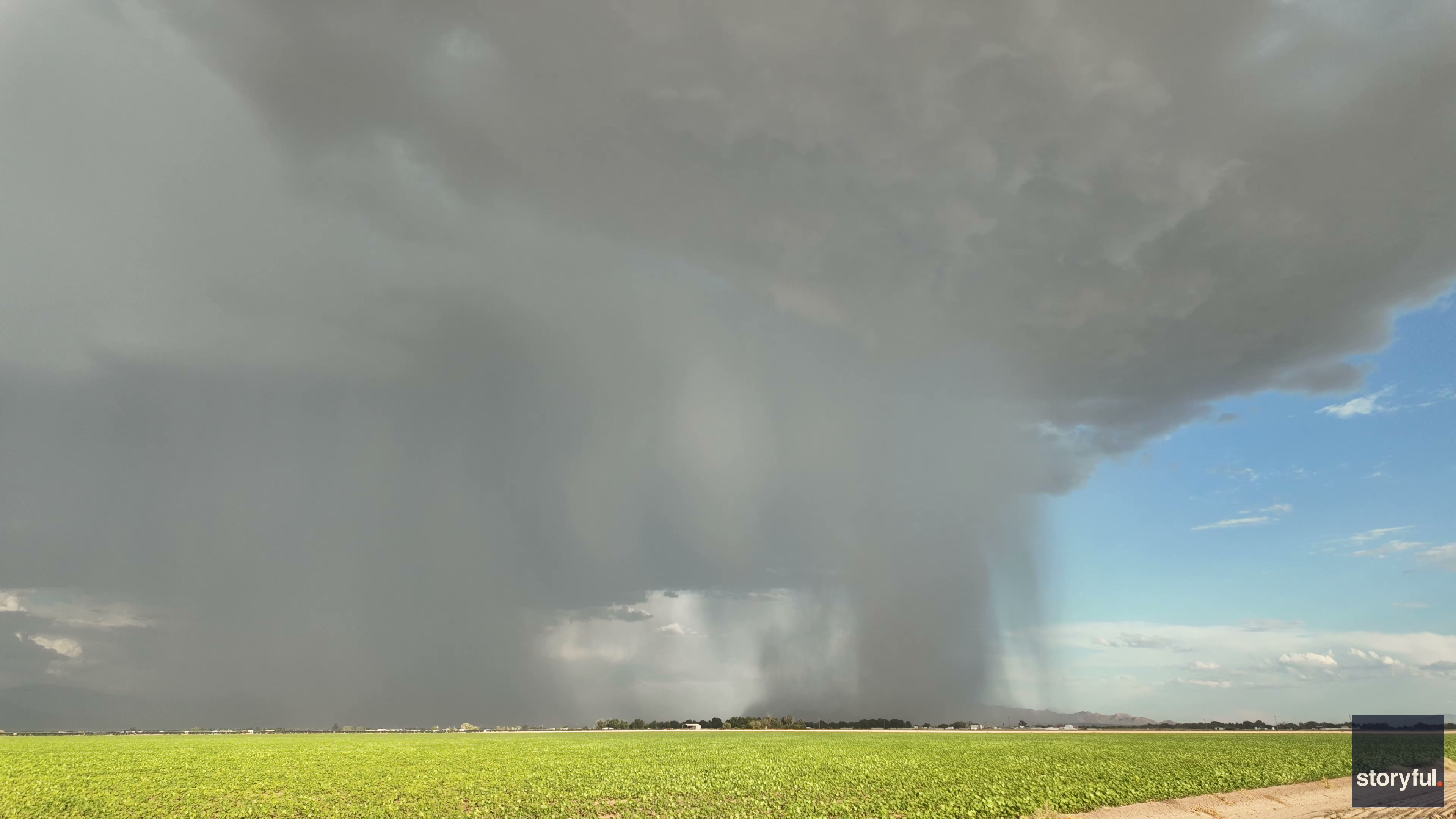 'Rain bomb': Mesmerizing microburst drenches Tucson region