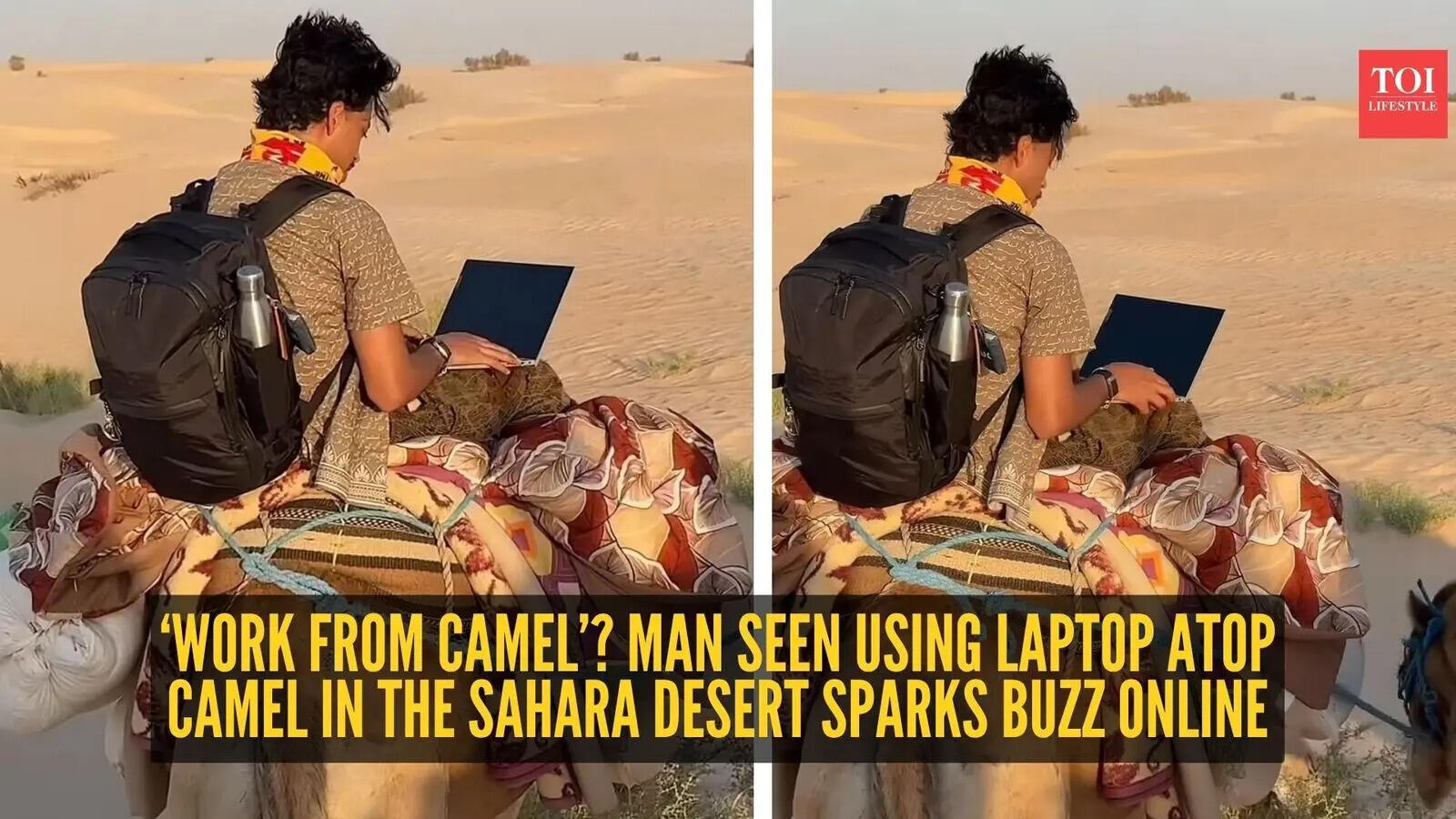 ‘Work from camel’? Man seen using laptop atop camel in the Sahara ...