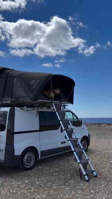 Dachzelt camping mit Hund: praktische Lösung für Reisen
