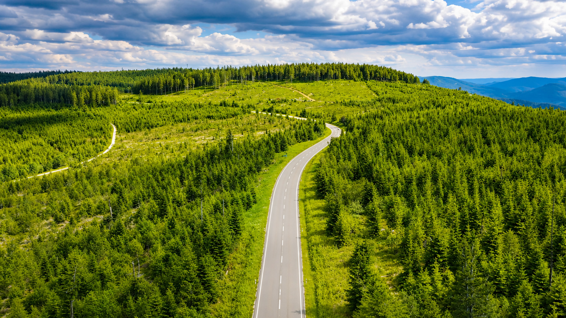 Miksi tämä tie kulkee metsän läpi?