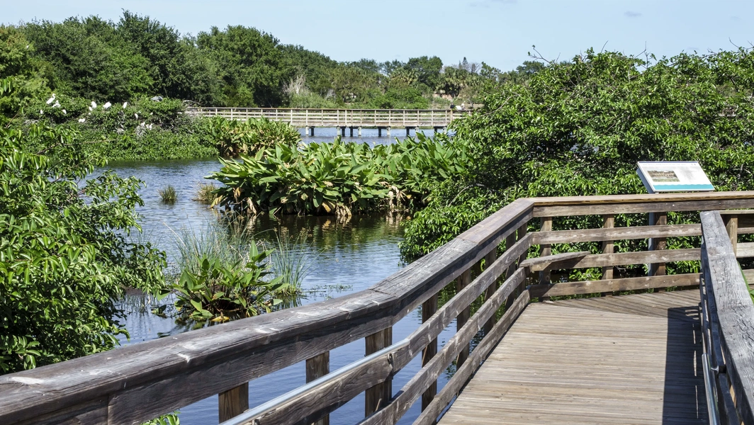 5 scenic Texas boardwalks through diverse habitats