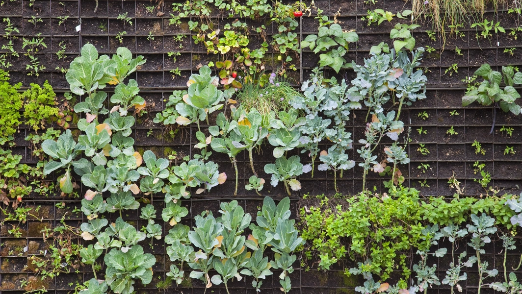 22 backyard landscaping ideas for any size
