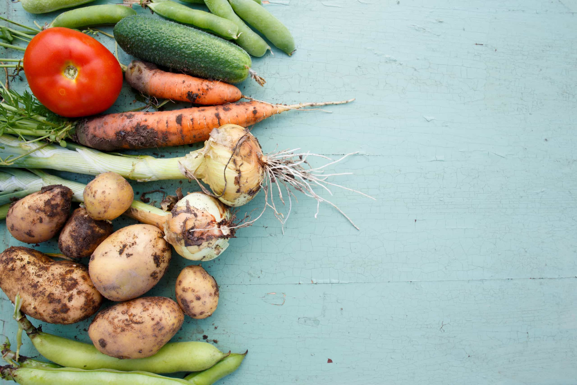 How to make your own vegetable patch