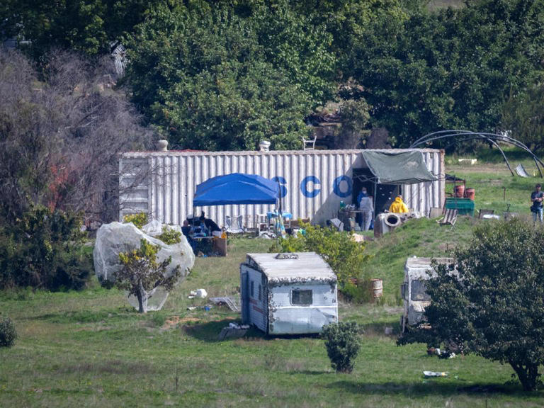 More arrests made in Dezi Freeman probe