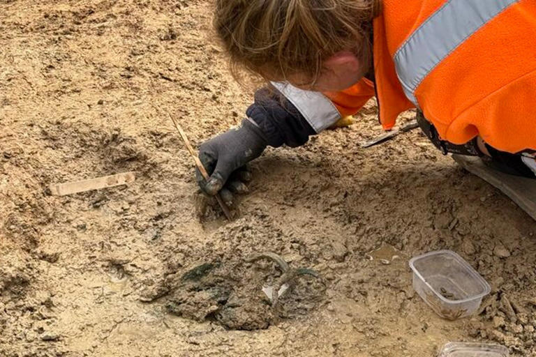 Iron Age Celtic chariot, weapons, gold unearthed in Germany