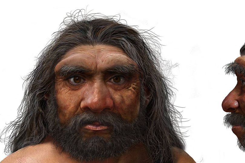 'Dragon man' skull discovered and it's completely new human species