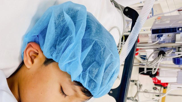 Brain-swelling virus type found in Sea-to-Sky mosquitoes after three ...