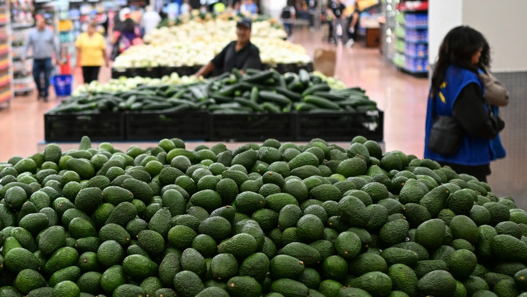 Nutritional facts and health effects of avocados