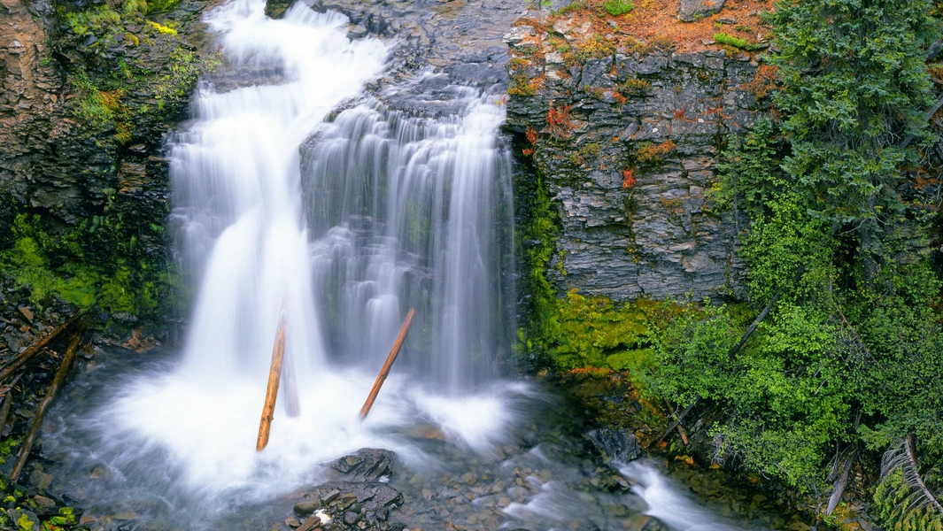Exploring Maryland's Cascade Falls and Patapsco trails