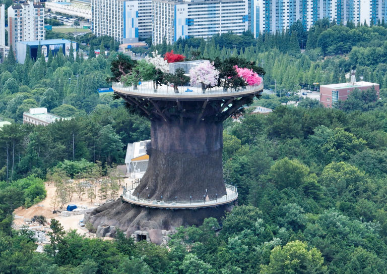 Changwon's 34.4 billion won 'big tree' sparks audit, police probe