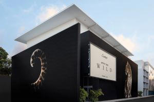 Mazarine buys Bacchus PR to cater more closely to top luxury clients