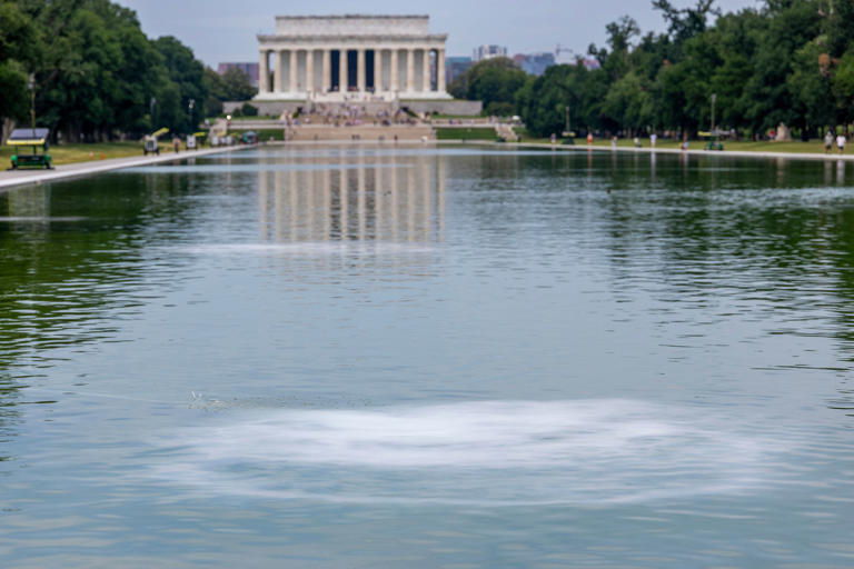 Trump administration blames Obama after Reflecting Pool turns green