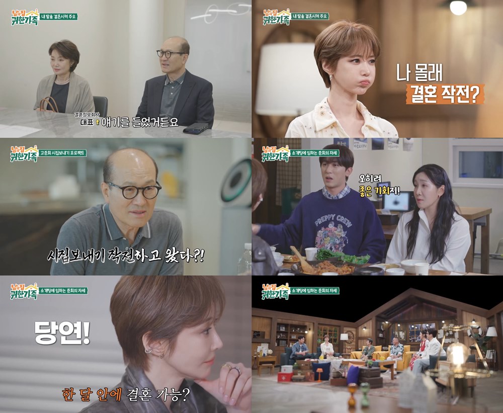 '귀한 가족' 고준희, 결정사 찾는다 "이상형=손석구 같은 남자"