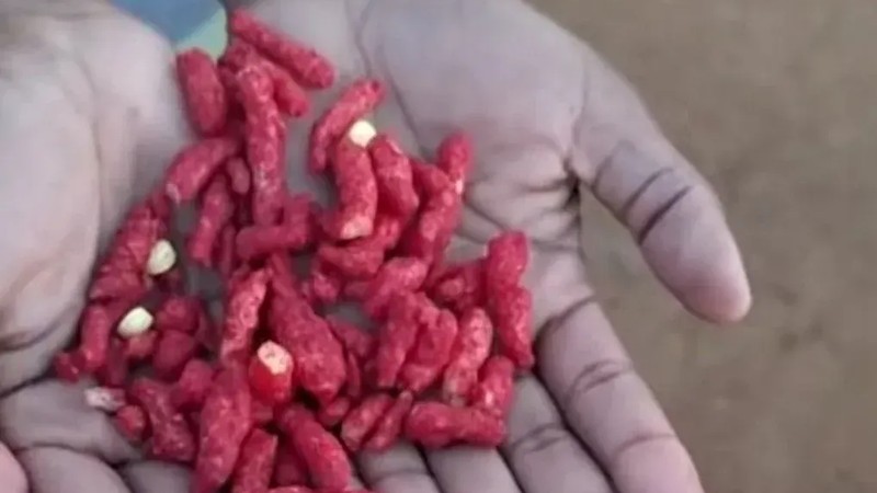 Cape Town's call to action: Verify food safety claims before sharing