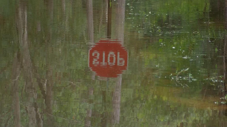 Ocean Springs alderman calls for city to take action against flooding