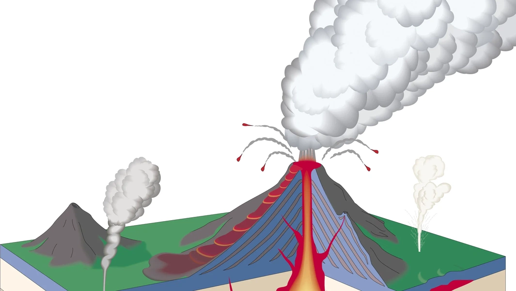Scientific insights into life’s earliest origins