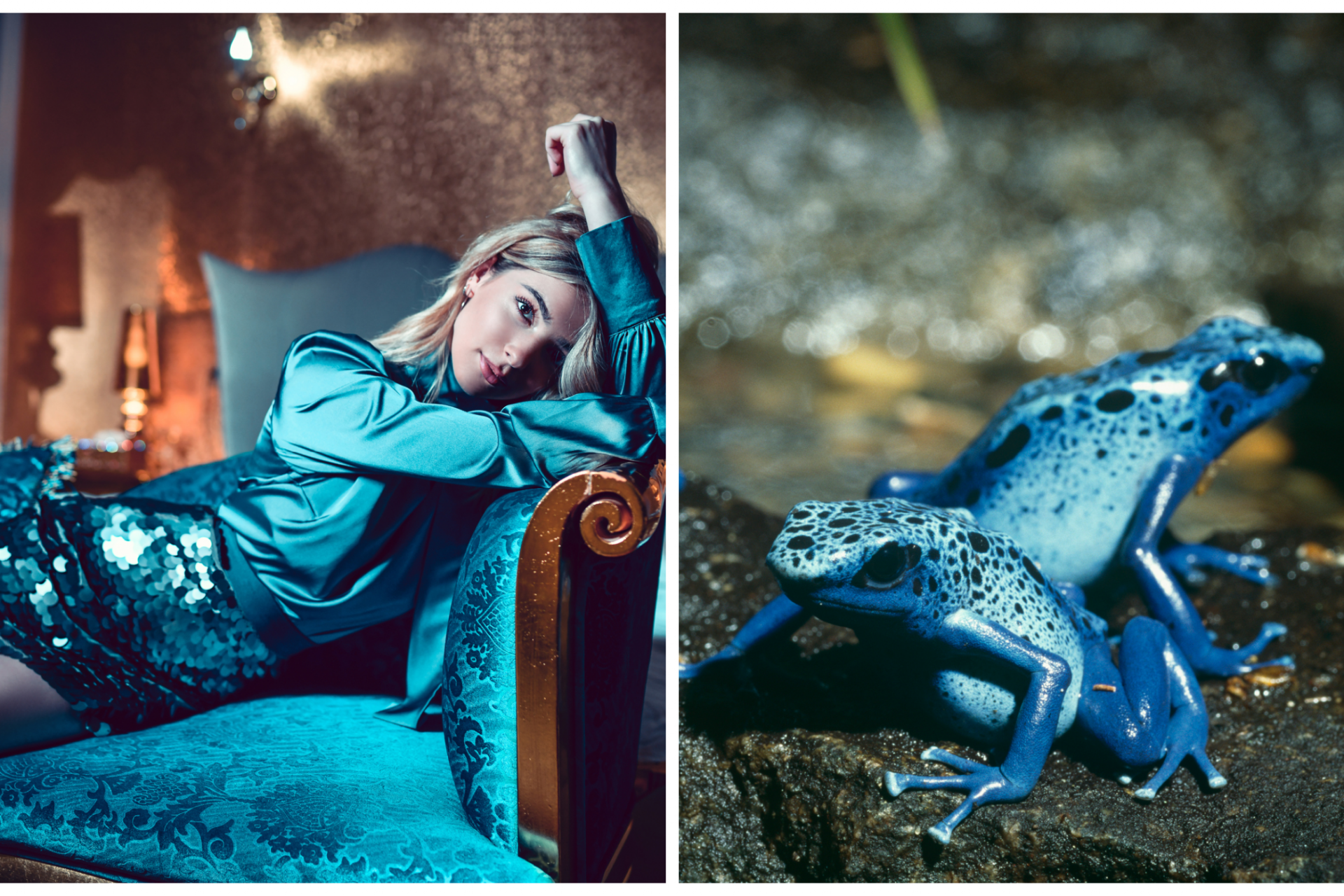 When nature becomes style: The animals that inspire the fashion world