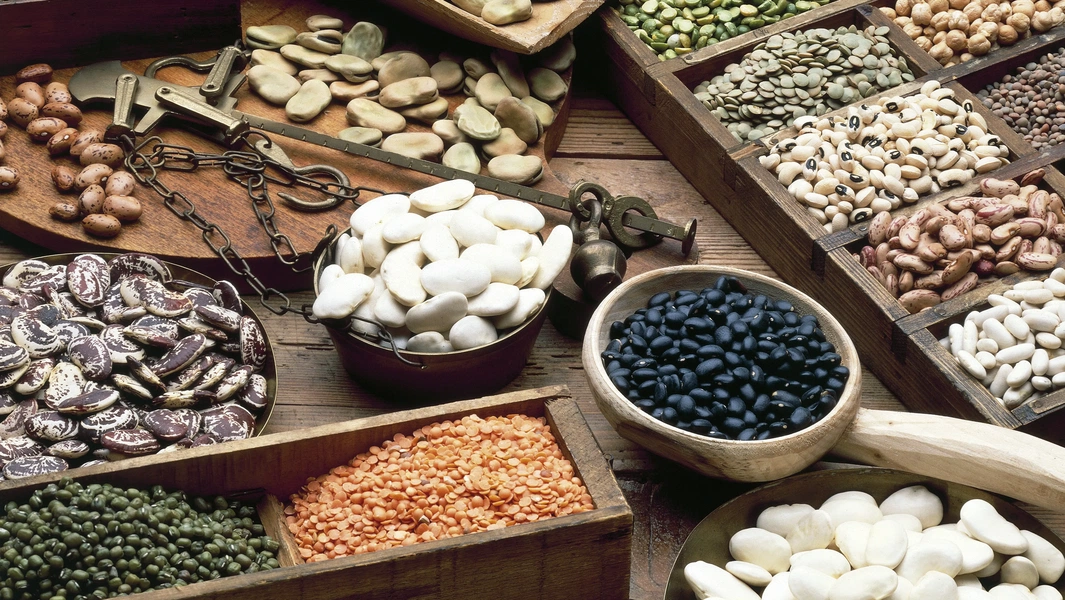 Protein-packed snacks you’ll actually crave