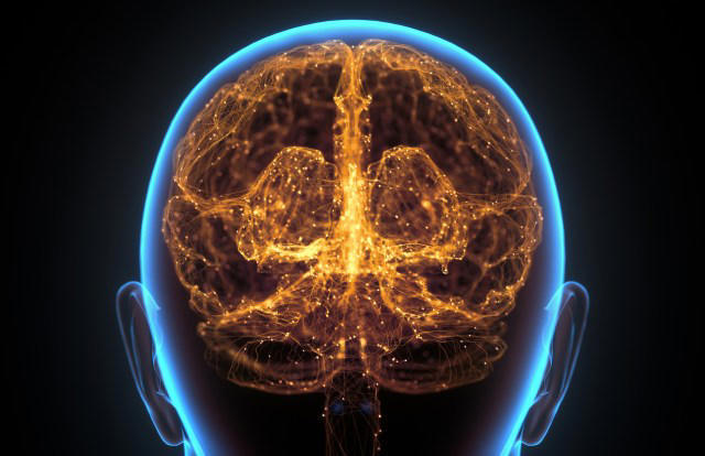 Scientists discover a brain 'switchboard' that keeps memories flexible ...