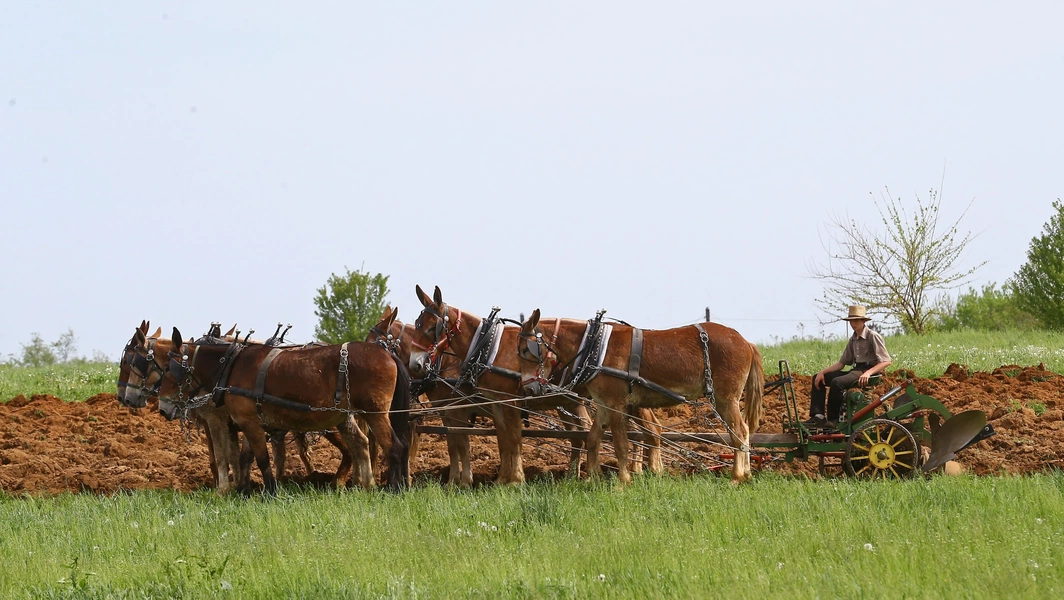 5 traditions of Amish life captured in photos