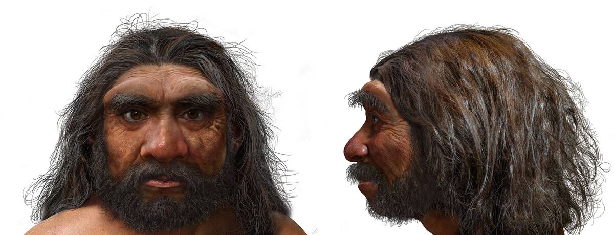 Groundbreaking 'Dragon Man' skull discovery of brand new human
