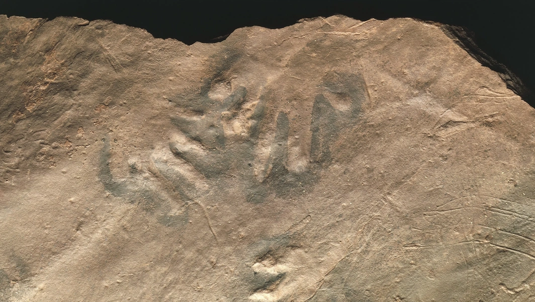 Ancient Permian ecosystem unearthed in Italian Alps