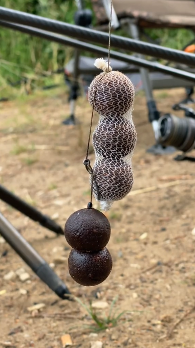 Why this carp fishing rig is going viral