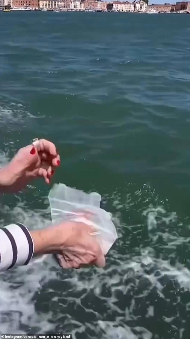 Tourist sparks fury 'scattering loved one's ashes' in Venice's St Mark ...