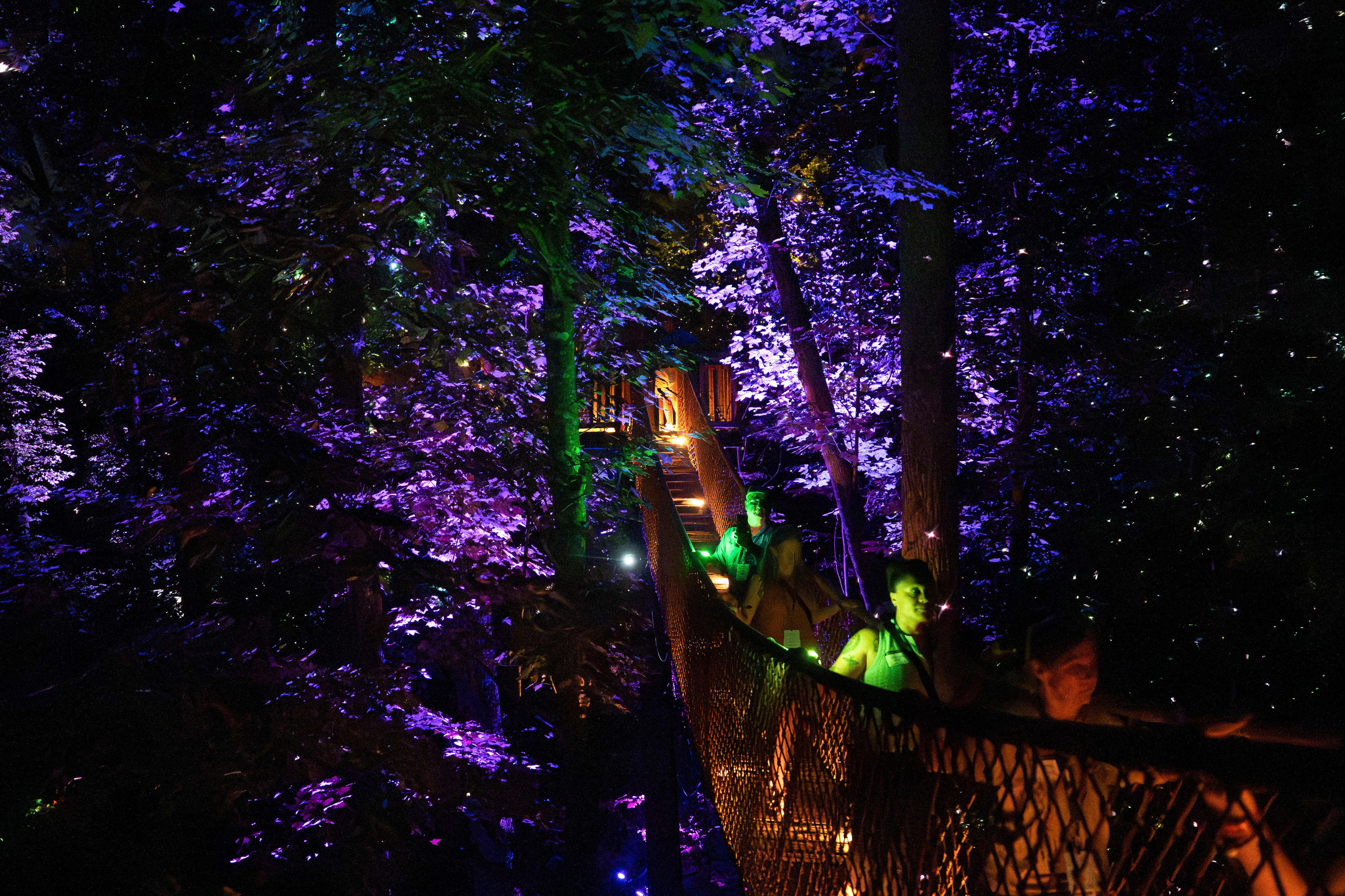Step into a night of glowing fireflies at Anakeesta’s new experience
