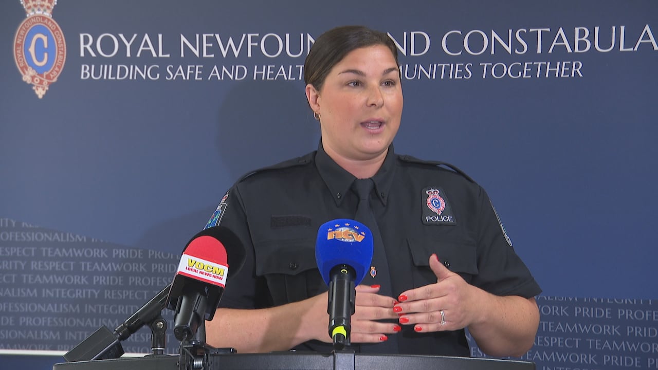 RNC investigating terrorist group activity targeting NL kids