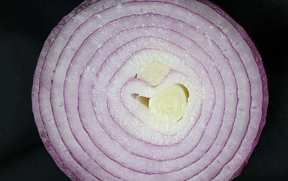 Red onion magic from farm to fork