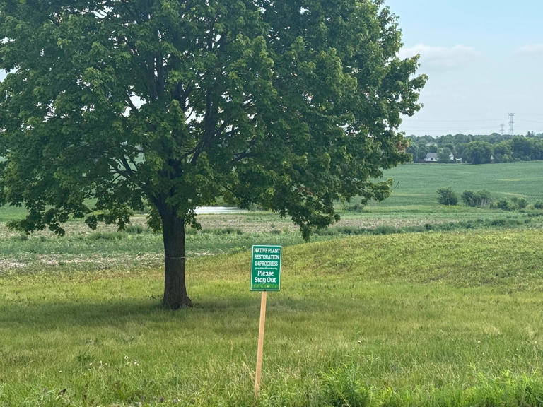 Old golf course becomes new nature center in Illinois
