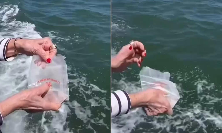 Tourist sparks fury 'scattering loved one's ashes' in Venice's St Mark ...
