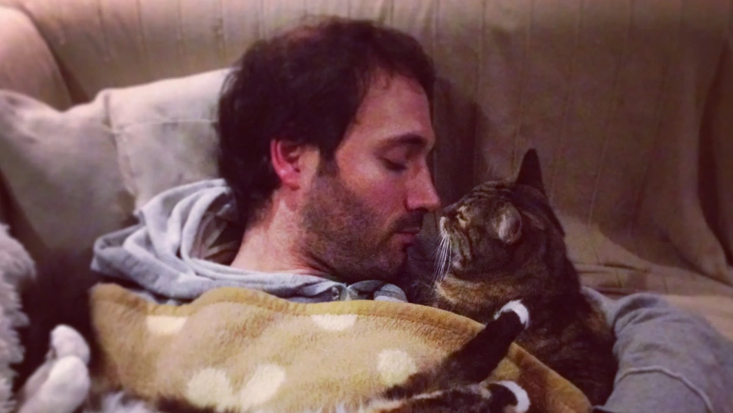 13 signs your cat feels deeply bonded