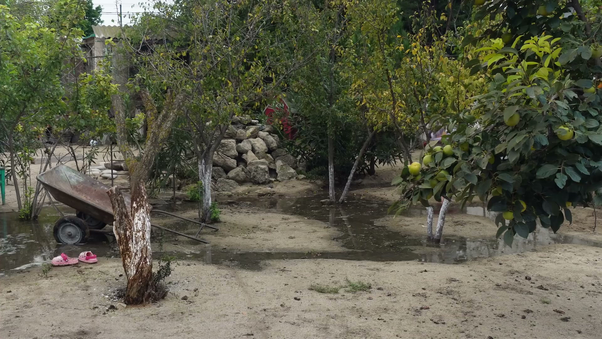 Fresh predator fish turned into a rustic feast