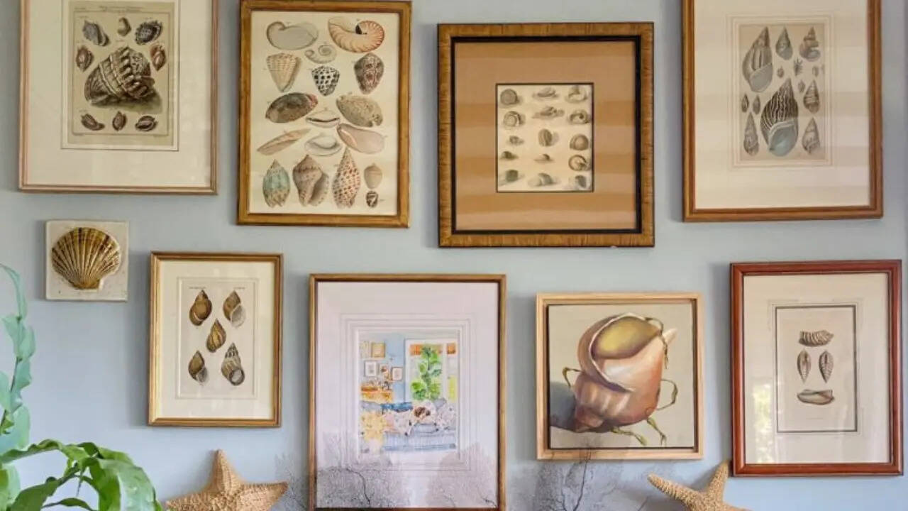 From wall art to centrepieces: 8 shell decor ideas for a coastal vibe