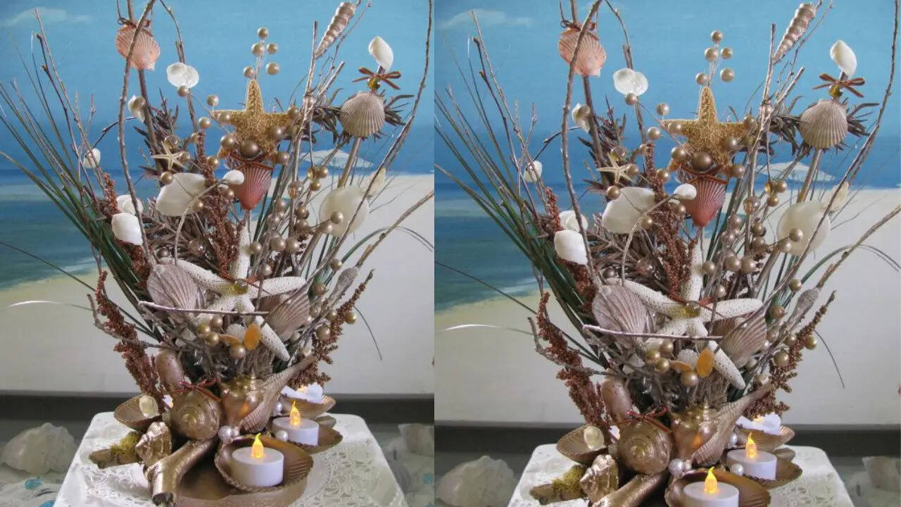 From wall art to centrepieces: 8 shell decor ideas for a coastal vibe