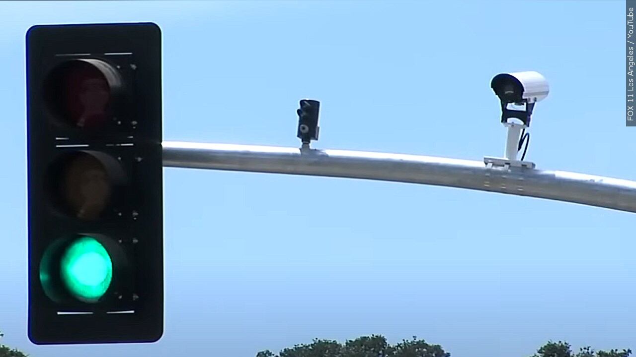 KYTC warns Knox County drivers of traffic delays caused by tree ...