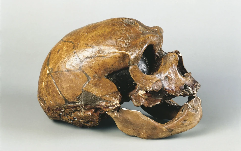 Ancient DNA sequences may reveal deep roots of human language