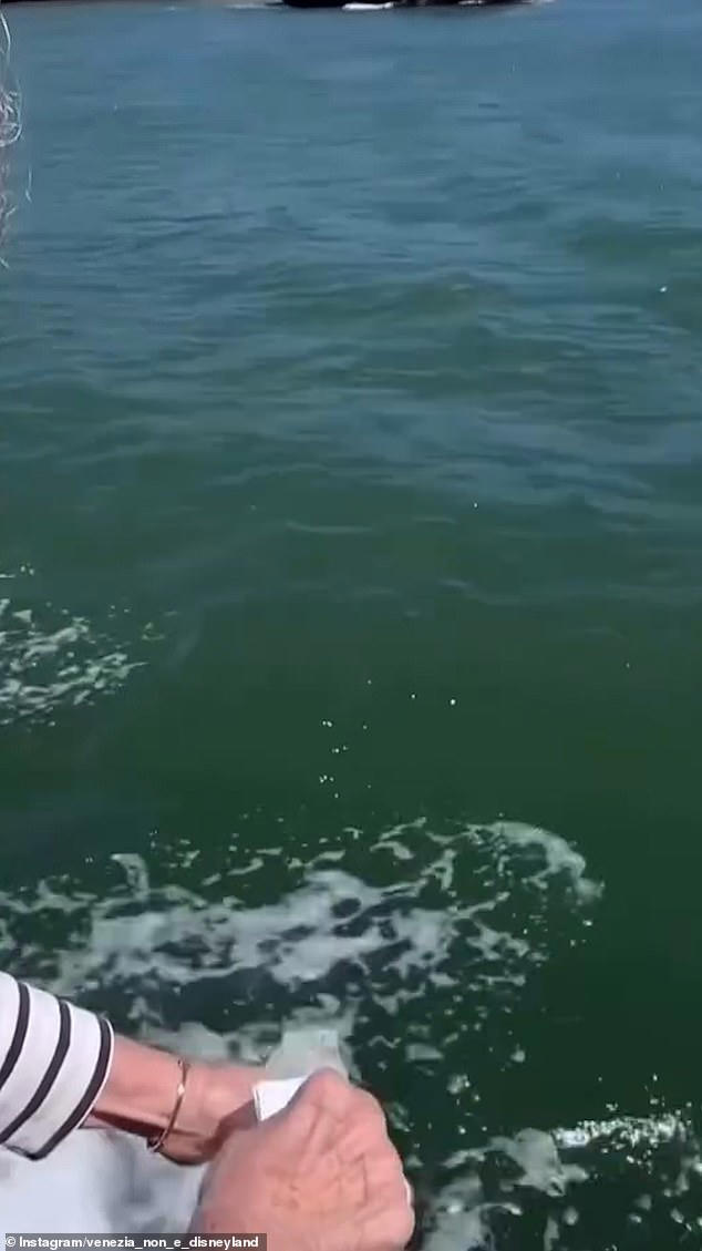 Tourist sparks fury 'scattering loved one's ashes' in Venice's St Mark ...