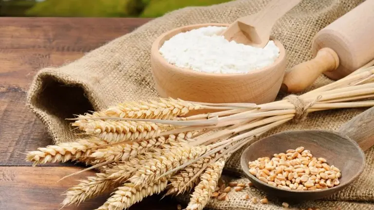 Chokaryukt aate ki roti: Acharya Balkrishna explains why wheat bran ...