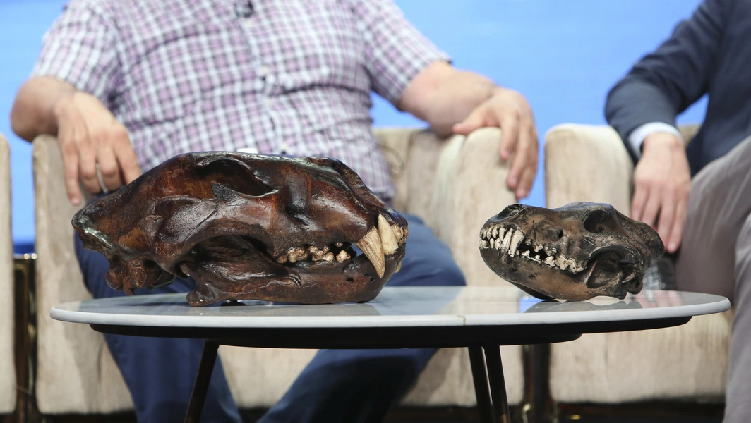 4 giant bear species through history